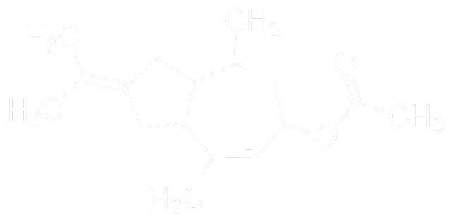 Perfumers Apprentice - Vetiveryl Acetate